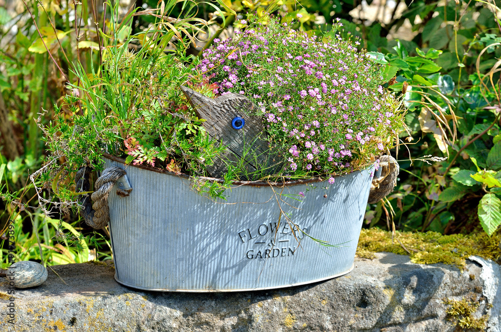 Dekorative Blechwanne im Garten Stock-Foto | Adobe Stock