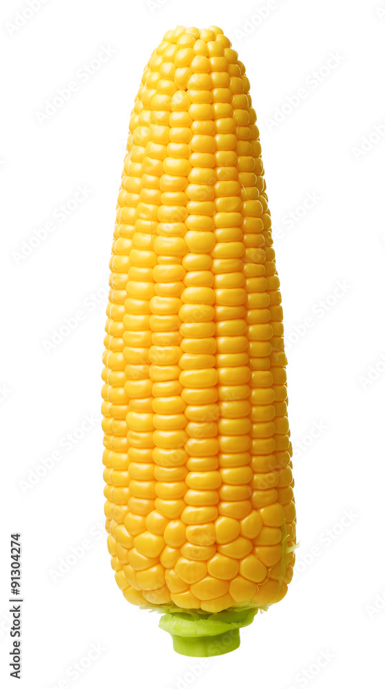 Corn isolated Stock Photo | Adobe Stock