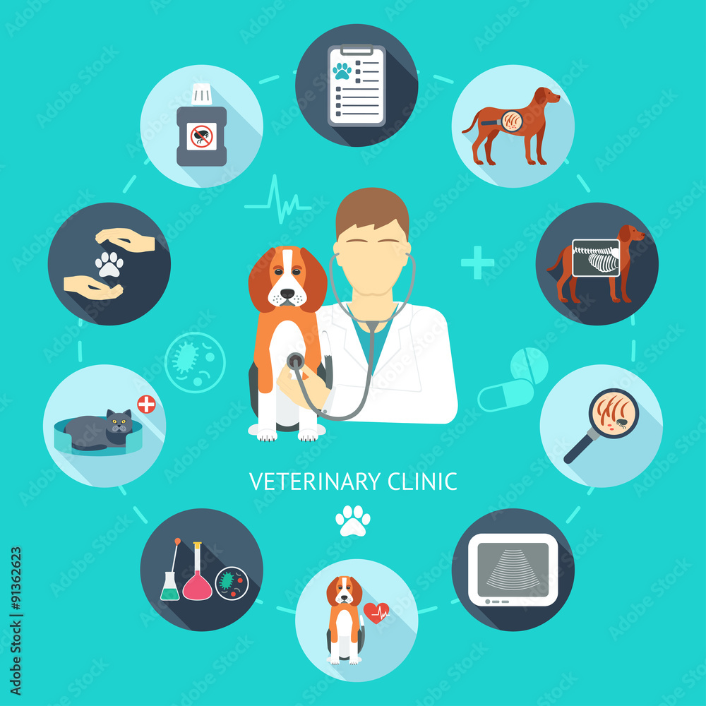 Veterinary flat icon set. Veterinary banner, background, poster ...