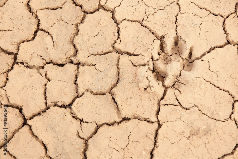 SEQUIA Stock Photo | Adobe Stock