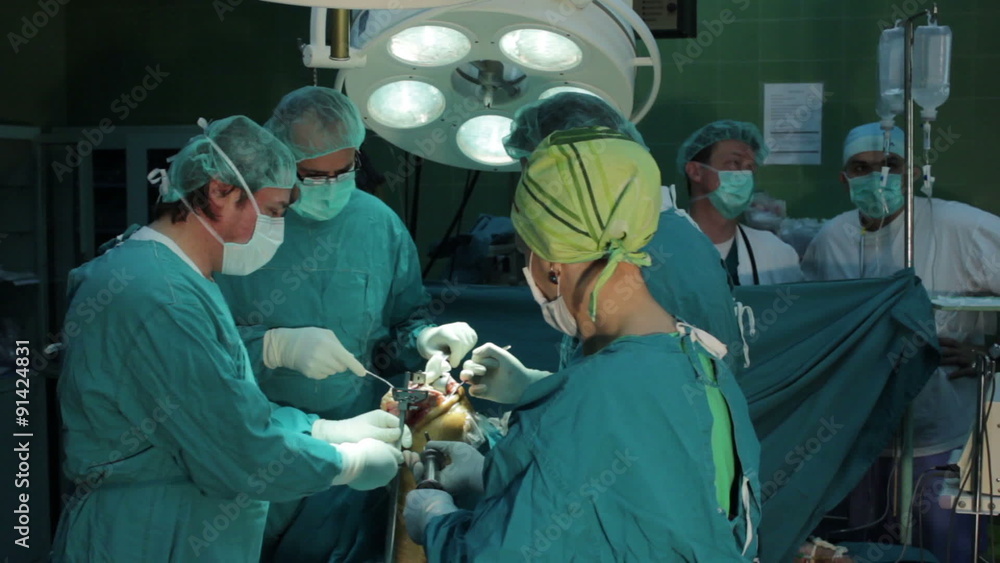 surgical knee operations. Placing the implant in the patient's knee ...