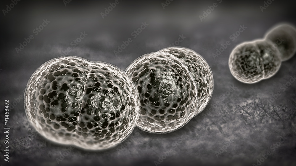 Meningitis Bacteria Infection Stock Illustration | Adobe Stock