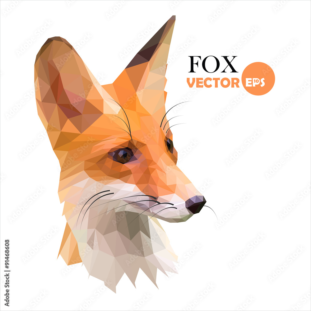Fox. Red foxes low polygon style. abstract Fox isolated on white ...