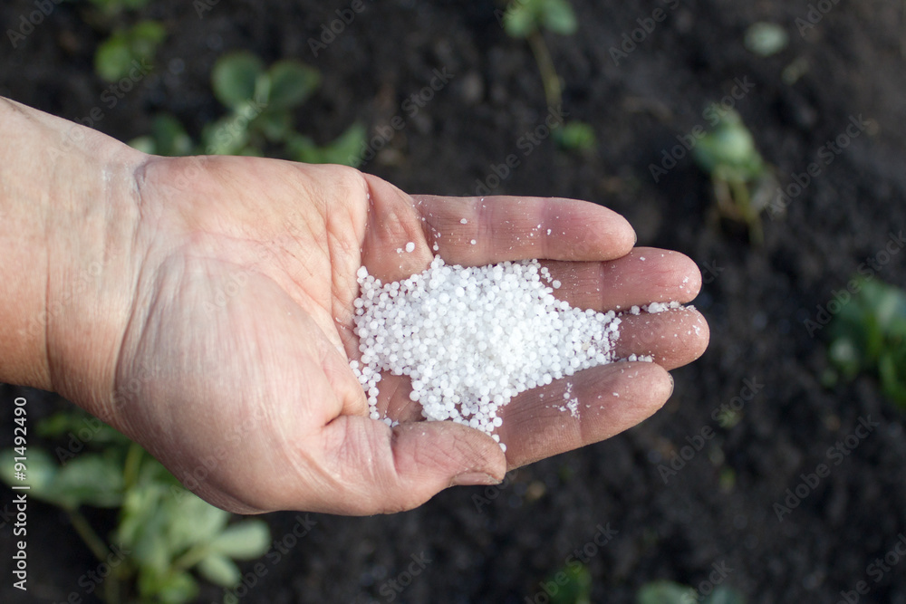 chemical fertilizer on farmer hand over green background Stock Photo ...