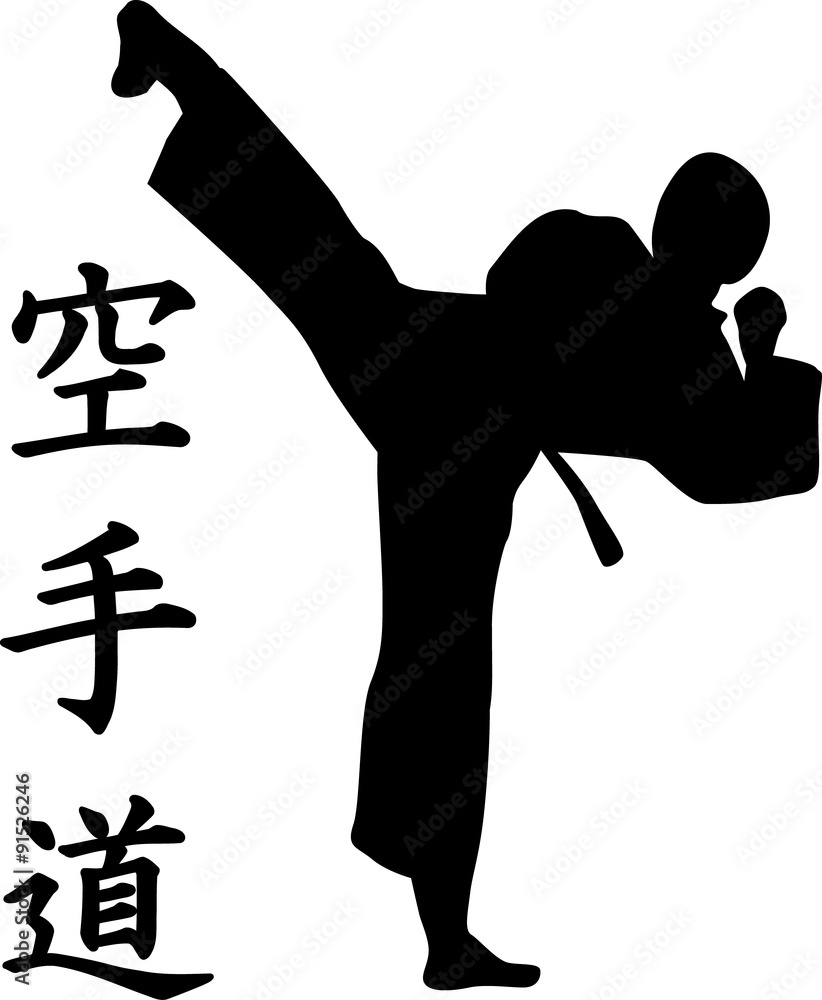 Karate silhouette with signs Stock Vector | Adobe Stock