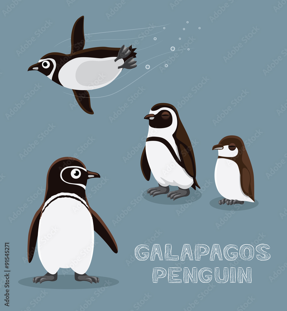 Galapagos Penguin Cartoon Vector Illustration Stock Vector | Adobe Stock