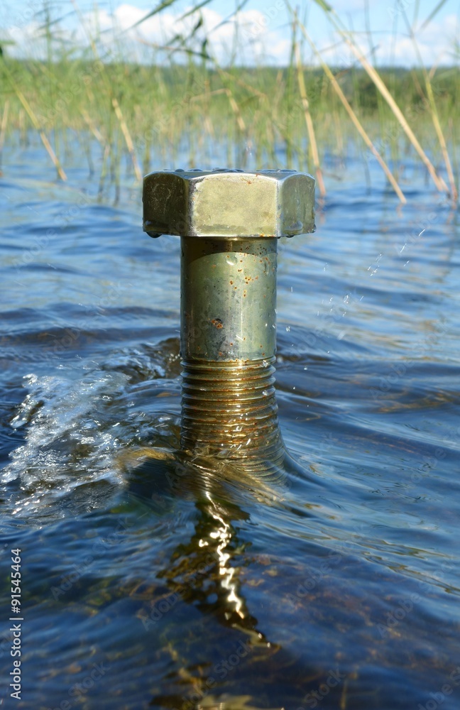 Single big metal nut stands in the water with green reeds on the ...