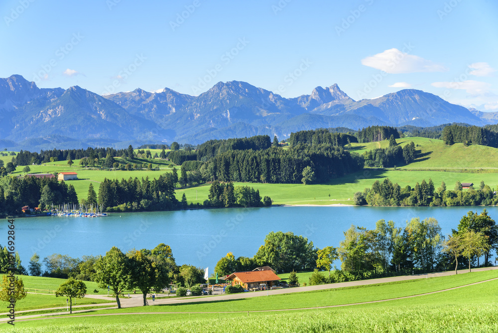 Blick auf den Forggensee und die Allgäuer Alpen Stock-Foto | Adobe Stock