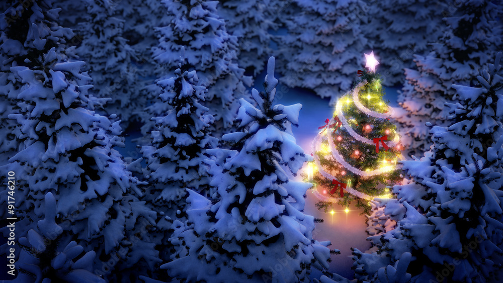 illuminated christmas tree in pine woods at night, aerial view Stock ...