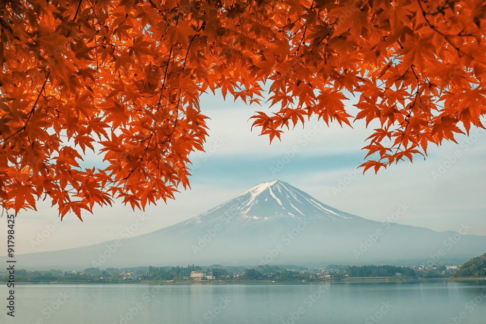 Mt. Fuji with fall colors in Japan.. Stock Photo | Adobe Stock
