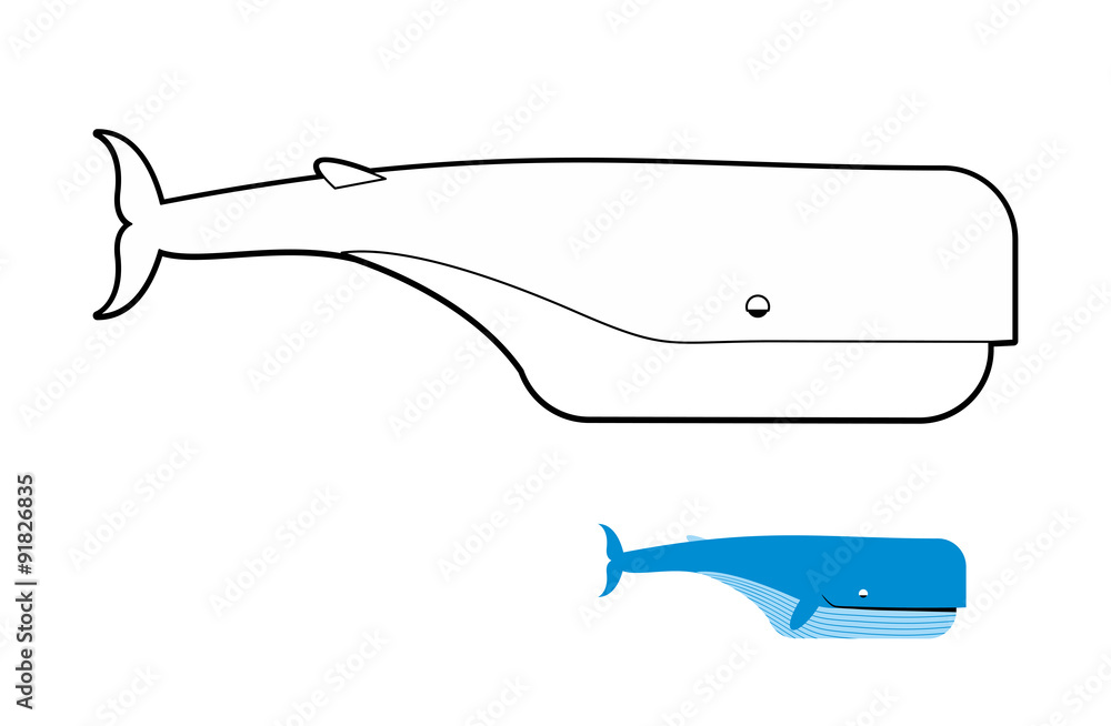 Sperm whale coloring book. Blue whale vector illustration Stock Vector ...
