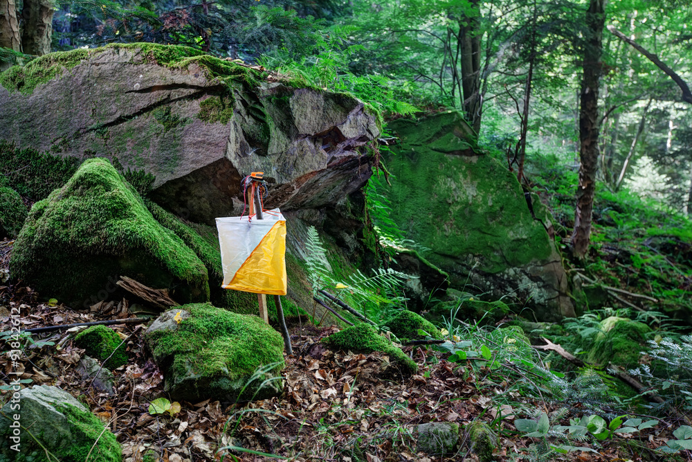 Control point symbol foto de Stock | Adobe Stock