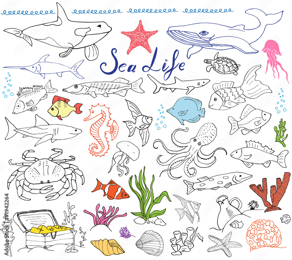 Big sea life animals hand drawn sketch set. doodles of fish, shark ...