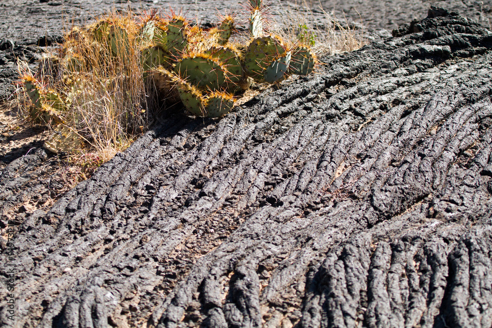 Ropy Lava