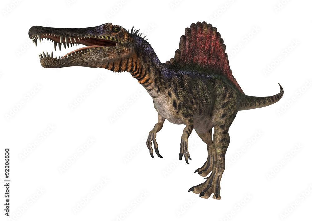 Dinosaur Spinosaurus Stock Illustration | Adobe Stock