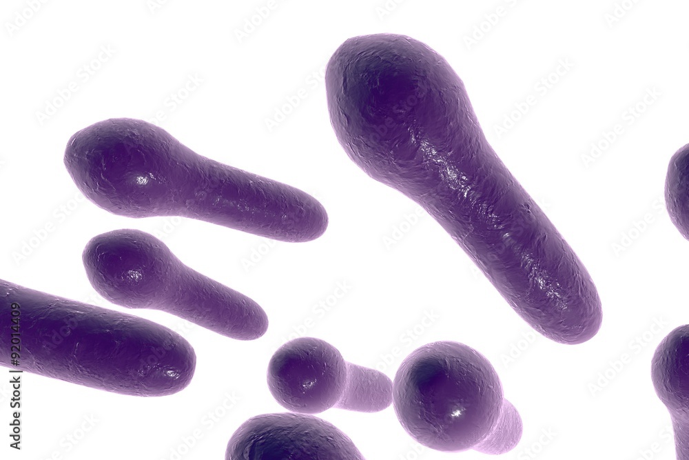 Tetanus Bacteria Images