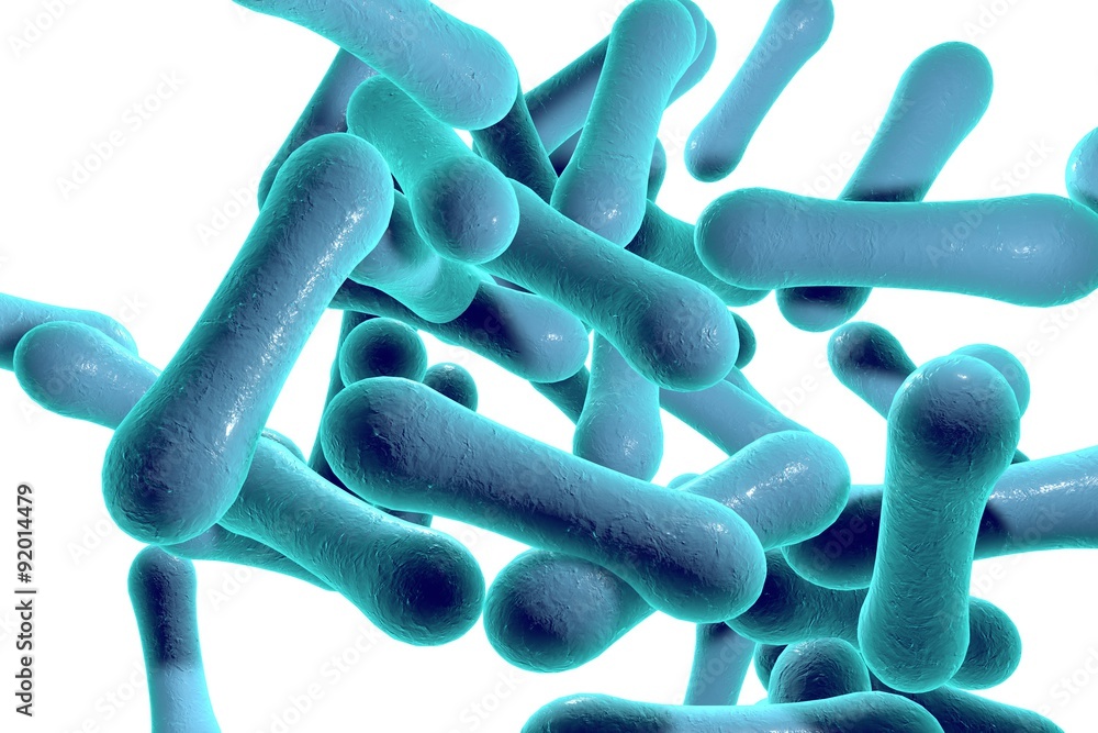 Microscopic illustration of Corynebacterium diphtheriae, Gram-positive ...