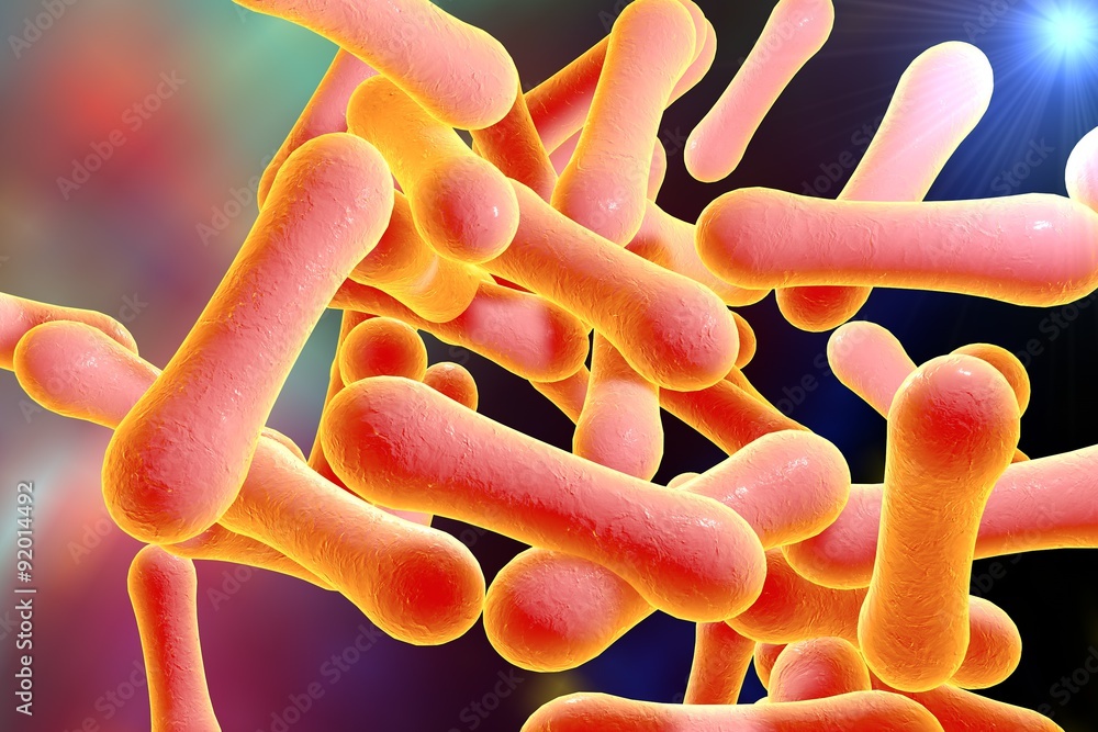 Corynebacterium Diphtheriae