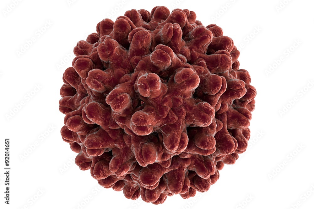 Hepatitis B virus isolated on white background. A model is built using ...