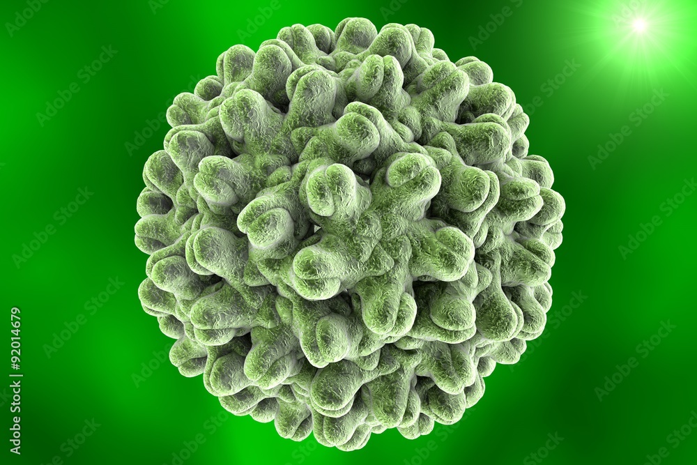 Hepatitis B virus. A model is built using data of viral macromolecular ...