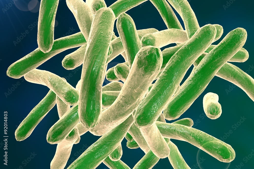 Bacterium. Microscopic view of bacterium Mycobacterium tuberculosis on ...