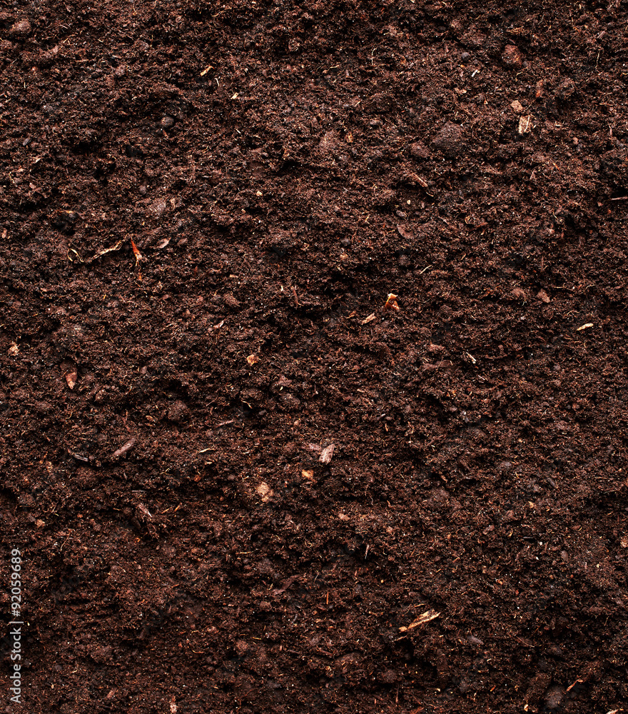 Soil background Stock Photo | Adobe Stock