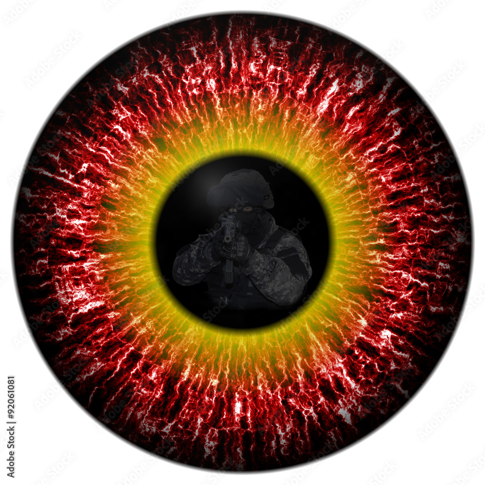 zombie eyes with the reflection headed soldier. Eyes killer. Deadly eye ...