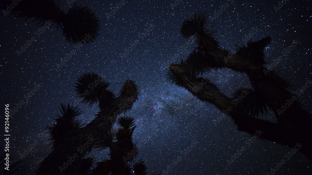 Astrophotography time lapse footage of Milky Way galaxy over Joshua ...