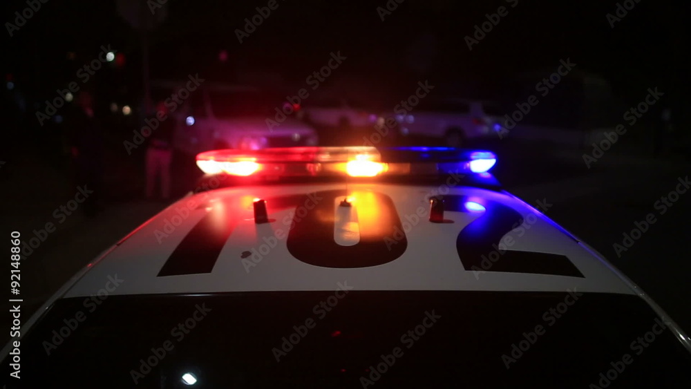 Actual LAPD Police activity in neighborhood involving police cars ...