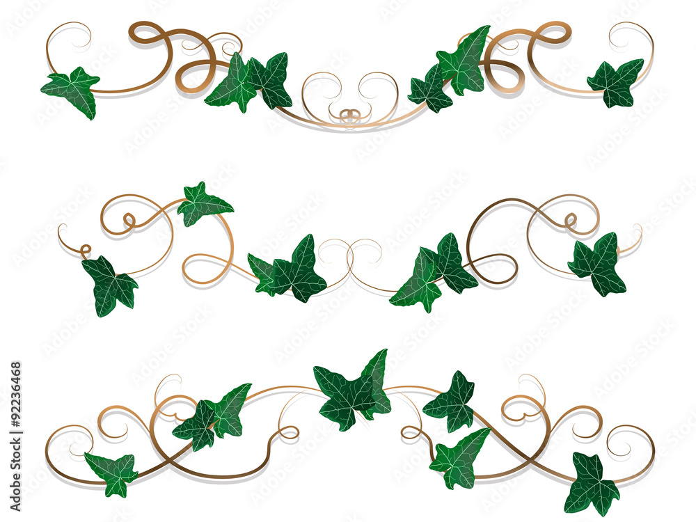 Borders with ivy leaves Stock Vector | Adobe Stock