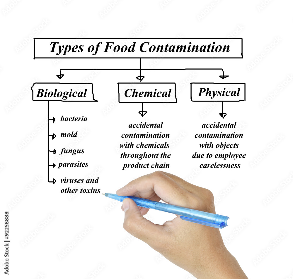 Foto de Types of food contamination image for use in manufacturing do ...