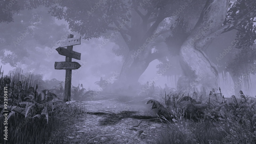 Spooky mystical forest with wooden signpost on foreground and with ...