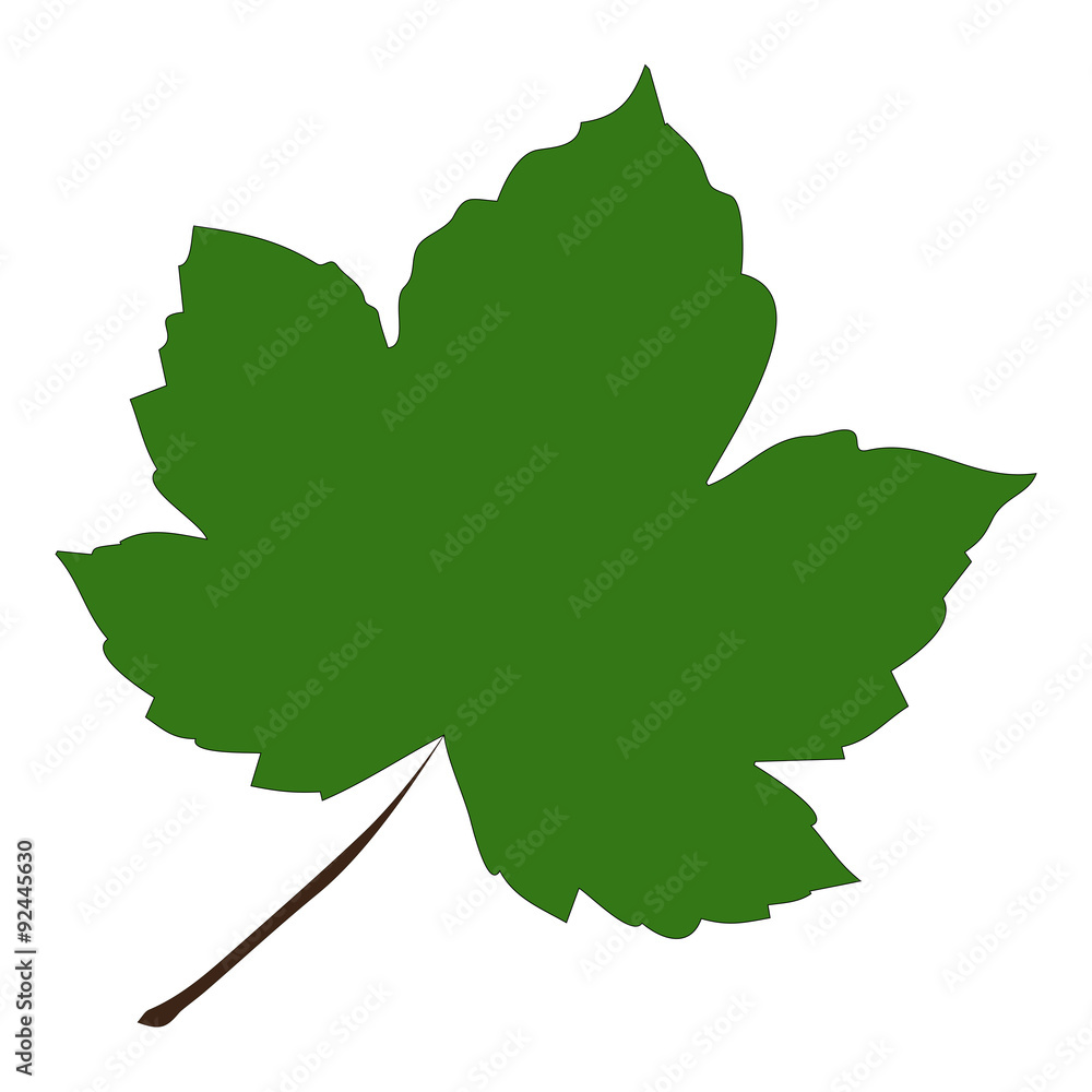 Maple Leaves Cartoon