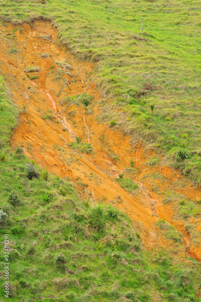 Land slide â€“ the result of extensive deforestation to create more ...
