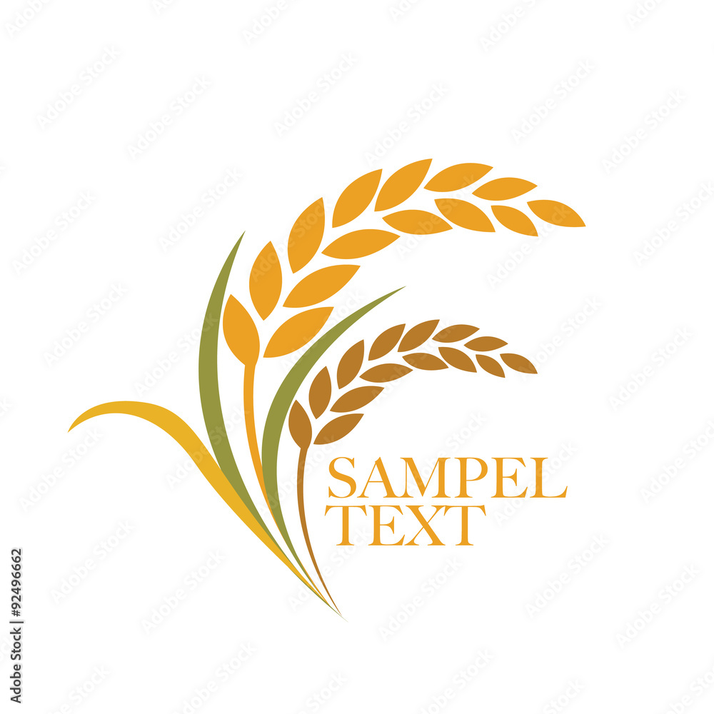 rice vector Stock Vector | Adobe Stock