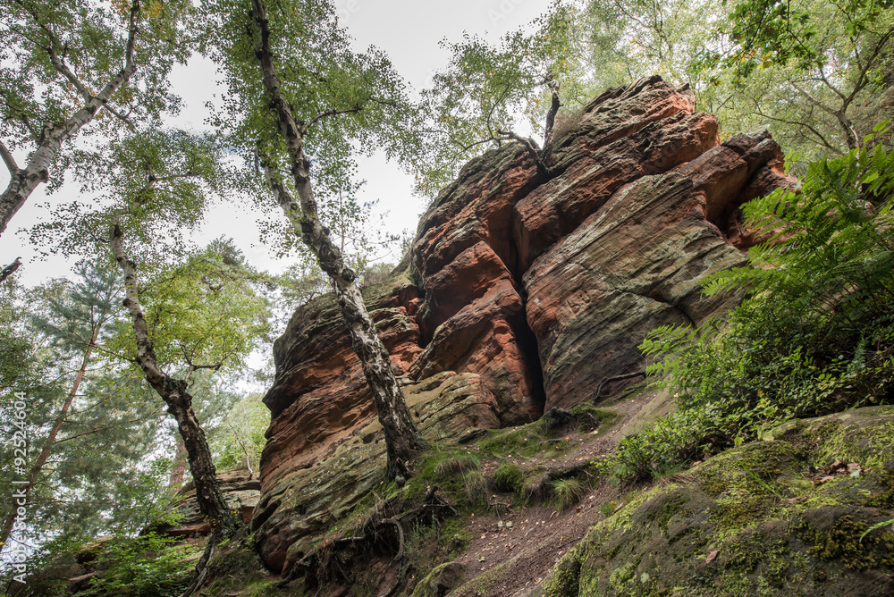 großer Felsen aus Rotsandstein im Wald Stock Photo | Adobe Stock