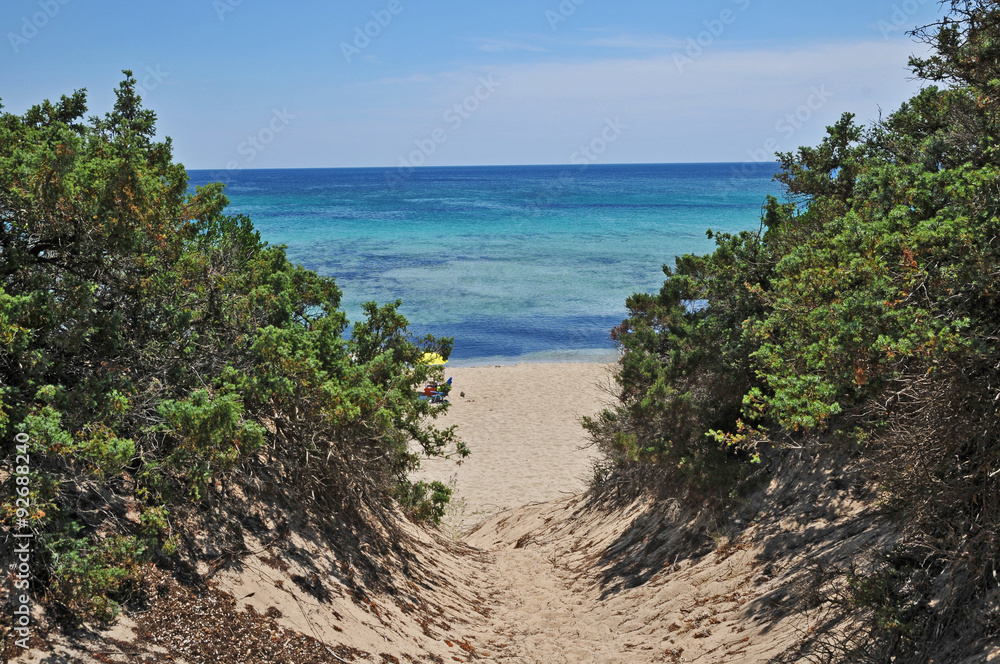 Le spiagge del Salento, Punta Prosciutto - Puglia Stock Photo | Adobe Stock