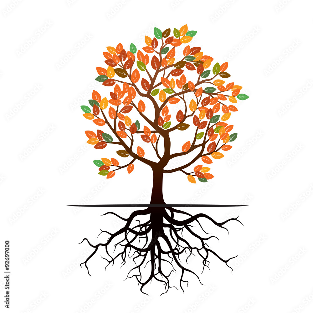 Autumn Tree with Color Leafs and Roots. Vector Illustration. Stock ...