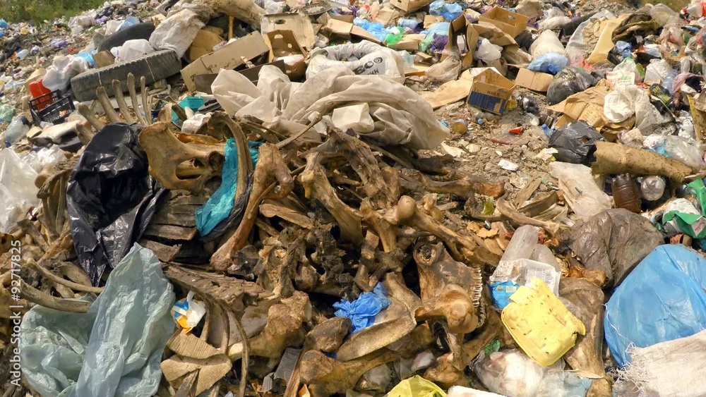 Skeleton Among Garbage At Dump In Ukraine Stock Video | Adobe Stock