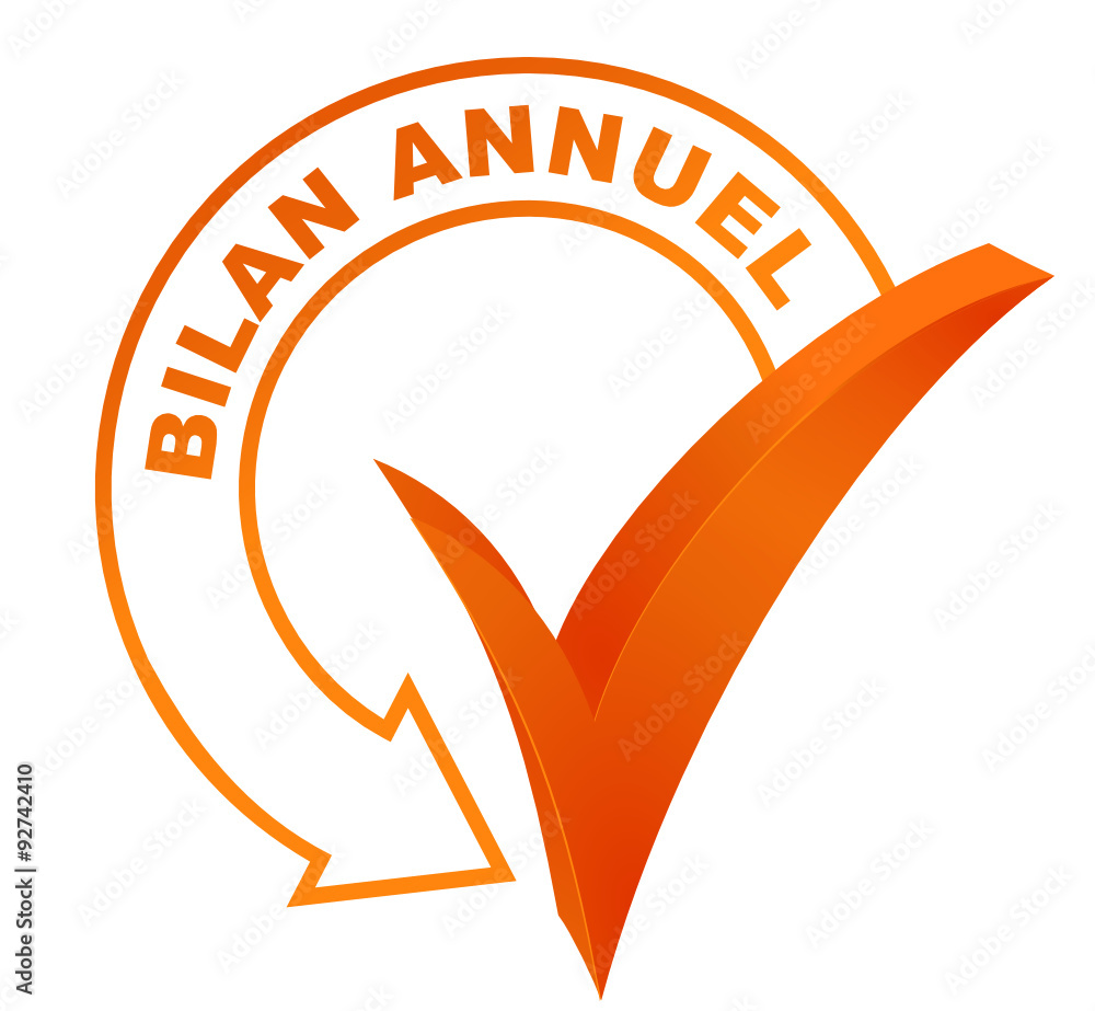 bilan annuel sur symbole validé orange Stock Vector | Adobe Stock