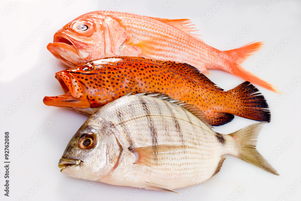 Verschiedene Meeresfische, Marmorbarsch, Kaiserbarsch, Juwelen-Z Stock ...