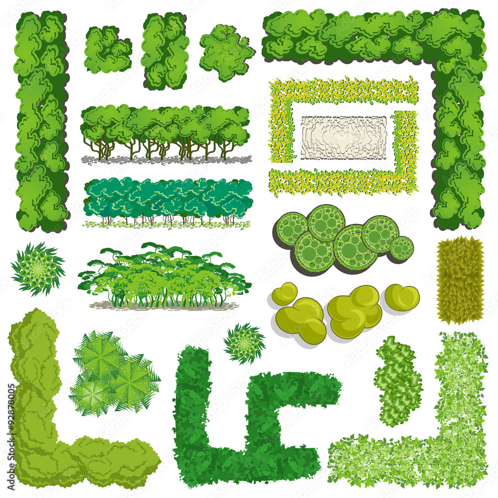 Trees and bush item top view \ top side for landscape design, vector ...