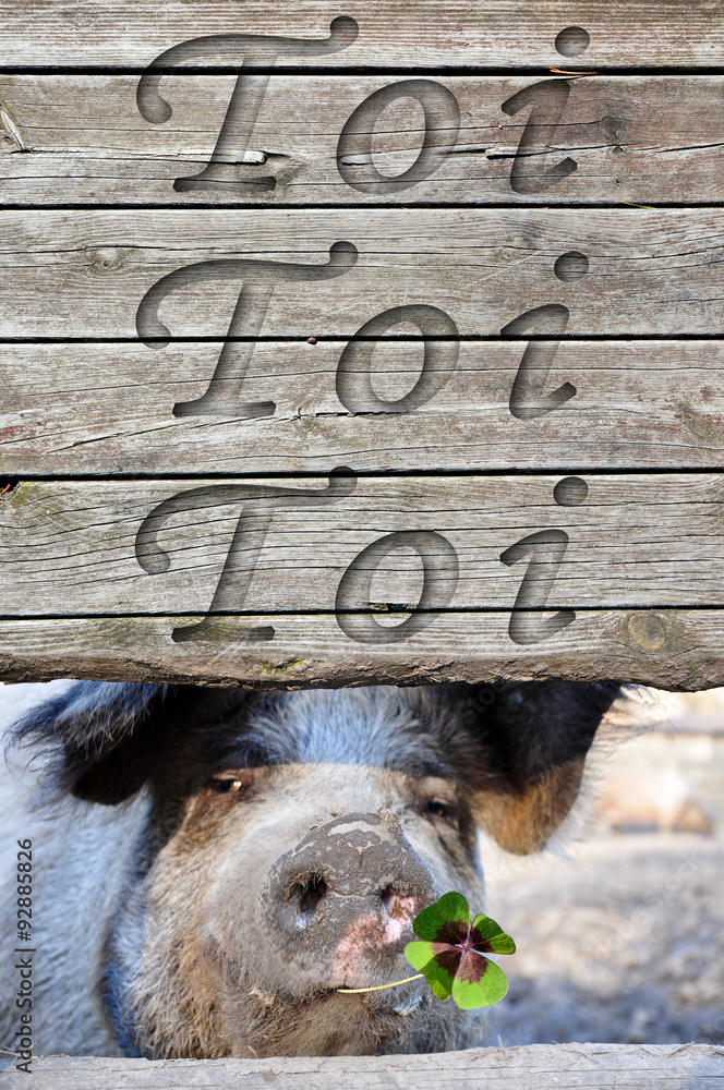 Toi toi toi Stock-Foto | Adobe Stock