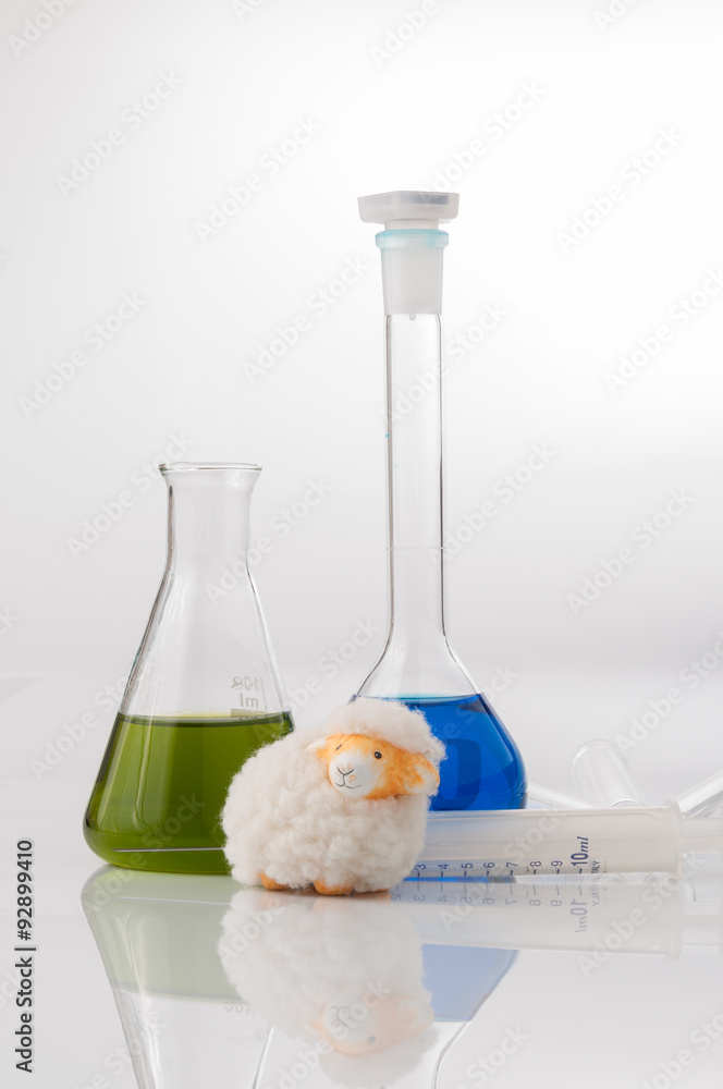 Image of a little puppet sheep in a laboratory. The picture tries to ...