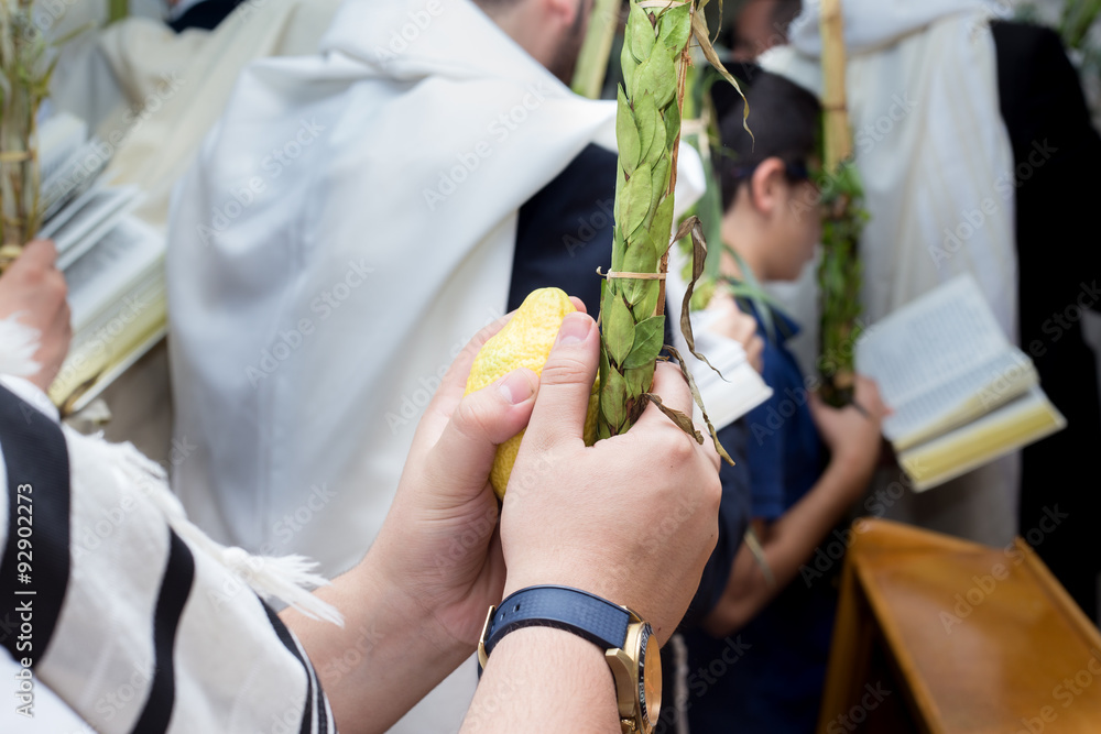 The four species for Sukkot Stock Photo | Adobe Stock