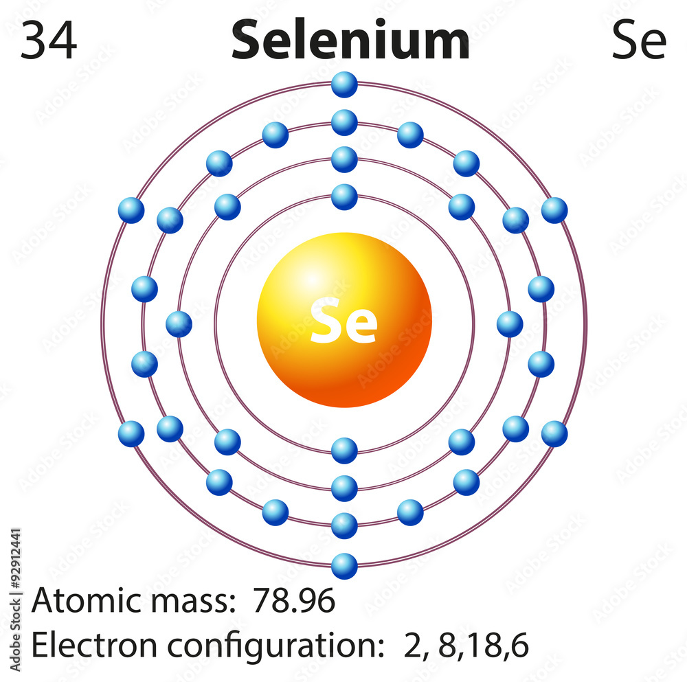 Symbol and electron diagram for Selenium Stock Vector | Adobe Stock