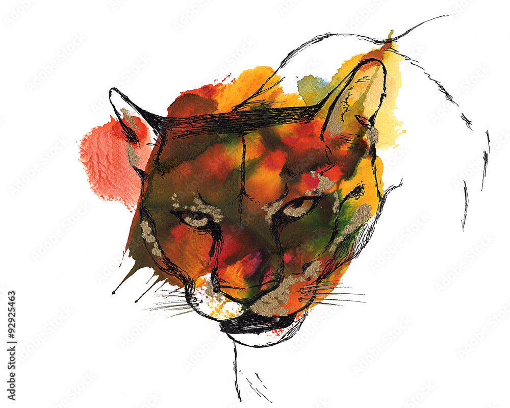 Puma Drawing Colored