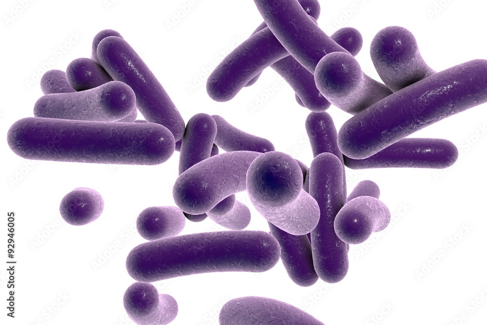 Illustration of Vibrio cholera isolated on white background, model of ...