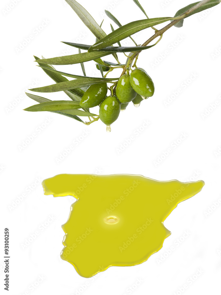 Olive branch, whose dripping olive oil, forming a map of Spain. Stock ...