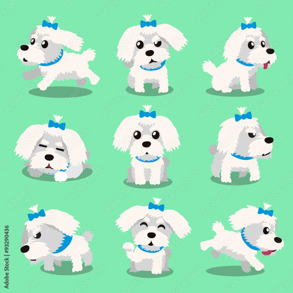 Cartoon character maltese dog poses Stock Vector | Adobe Stock